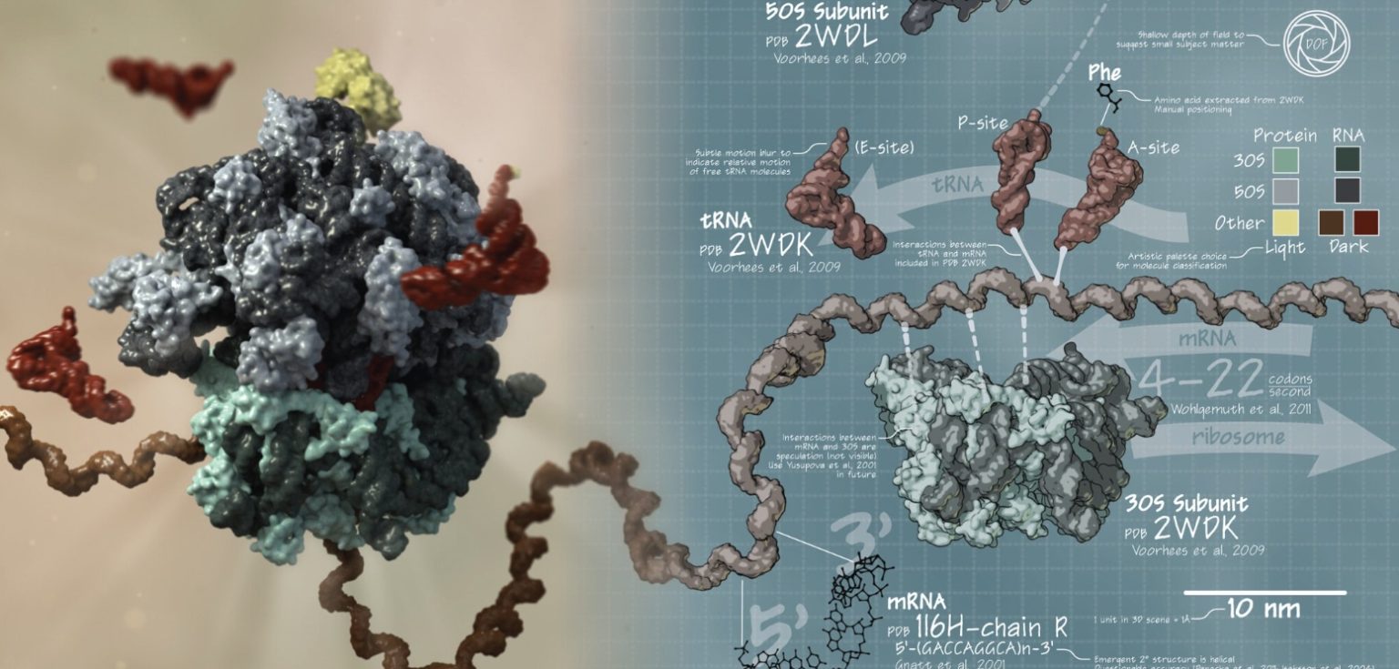 Collaborative Workshop for Science Communication and Education ...